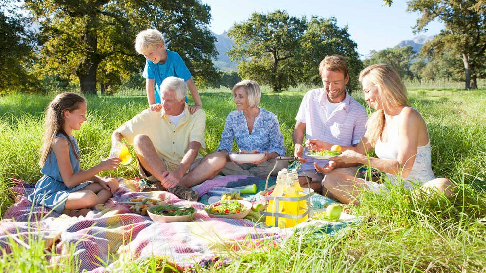 Best Tips for A Perfect Picnic with MIER